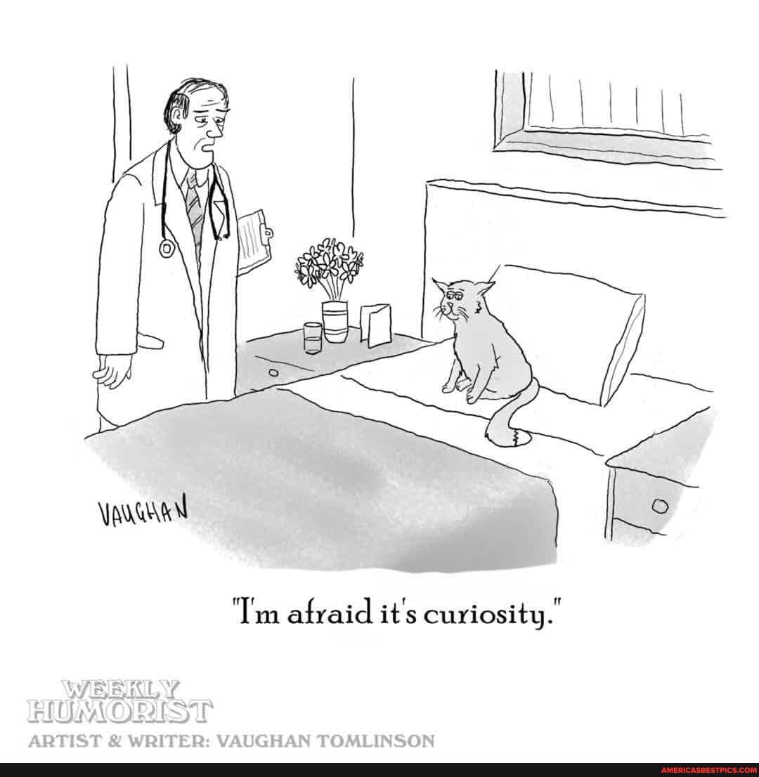 ̲ ̲ ̲ ̲ ̲ ̲ ̲ ̲ ̲ ̲ ̲ ̲ ̲ ̲ killed the cat | Paperflite